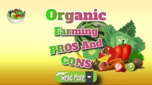 Organic Farming: Key Pros and Cons Explained – GQ Central